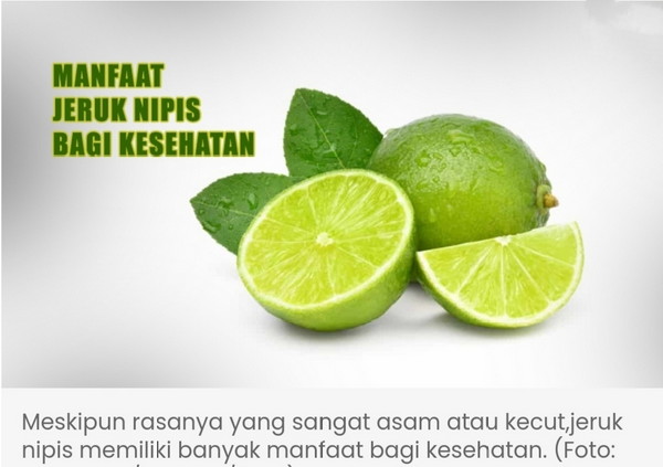 Dahsyat, Ini Lima Manfaat Konsumsi Jeruk Nipis Bagi Kesehatan ... Dahsyat, Ini Lima Manfaat Konsumsi Jeruk Nipis Bagi Kesehatan ...